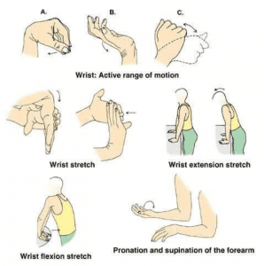 Stay Active While Working from Home | Stretches - Aligned Modern Health